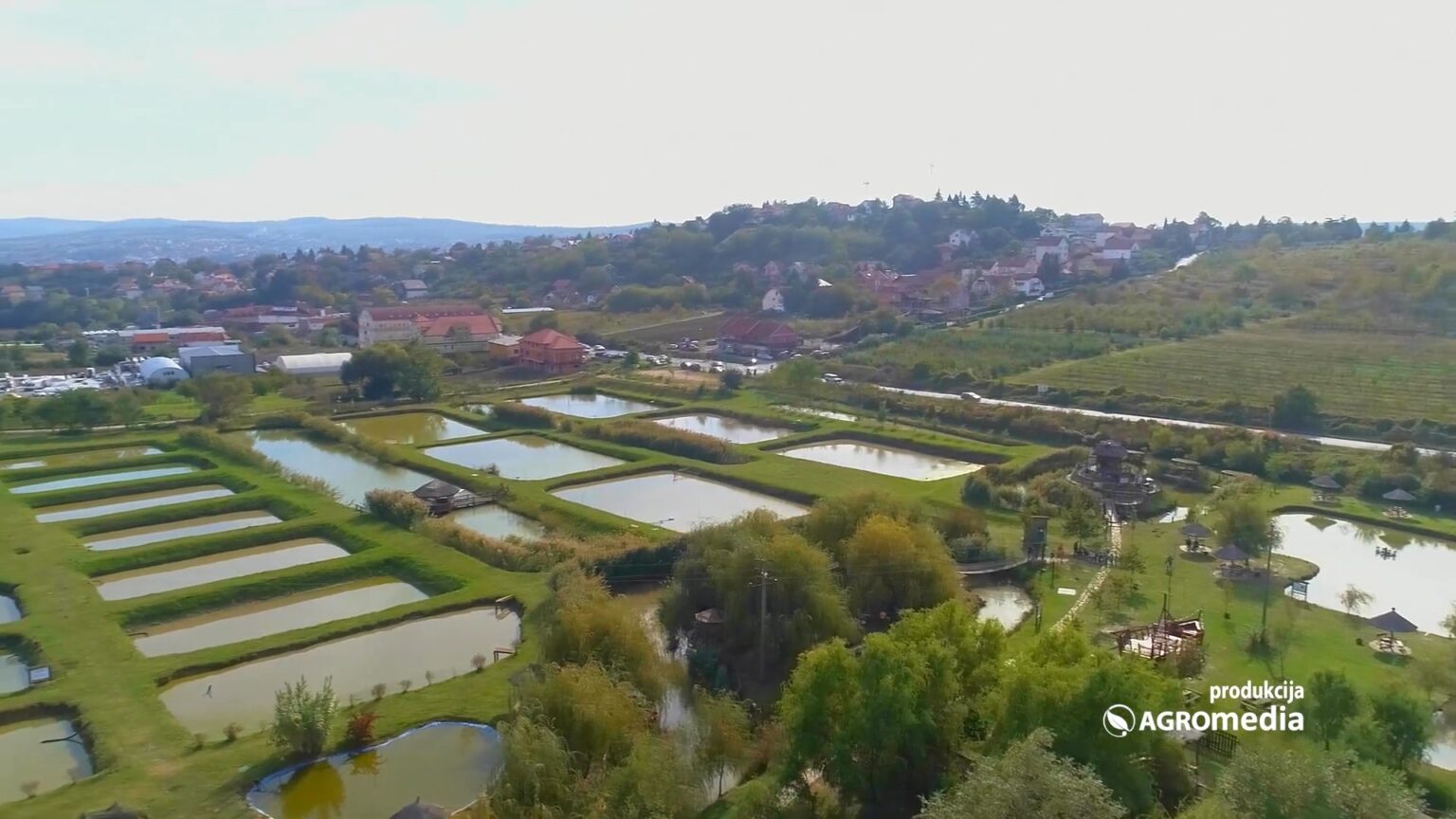 Rečne ribe u Dunavu - Pregled vrsta koje možete uloviti