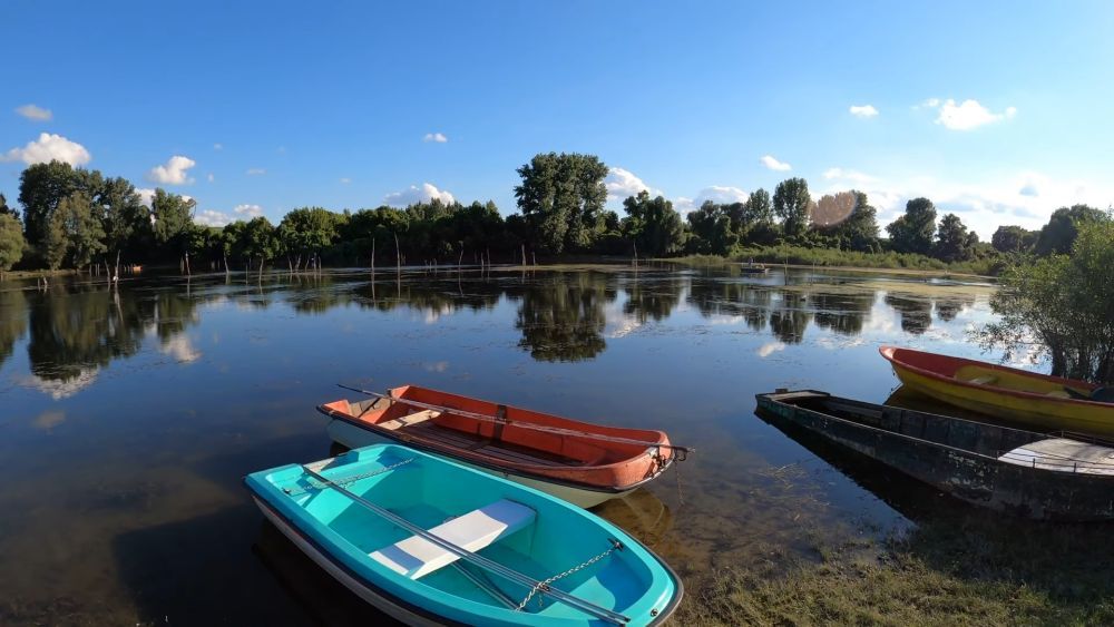 Najbolja mesta za pecanje na Dunavu - Vodič kroz top destinacije